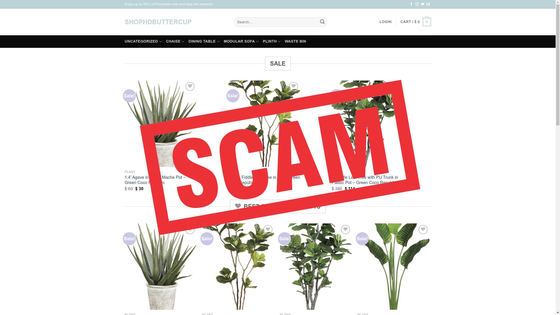 Shophdbuttercup.shop is a SCAM!