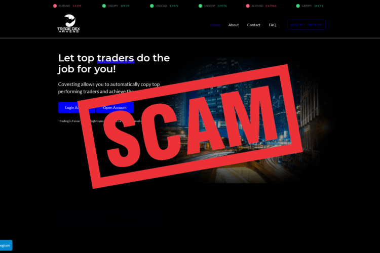 Tdhaven.com is a SCAM!