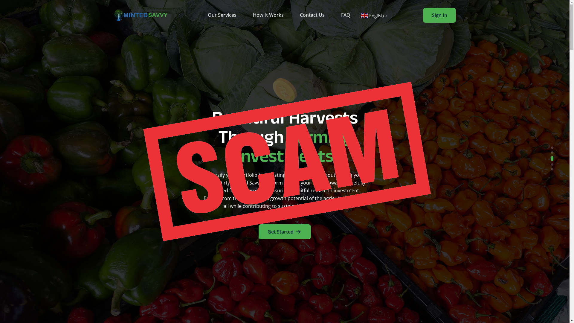 Msavvygroup.live is a SCAM!